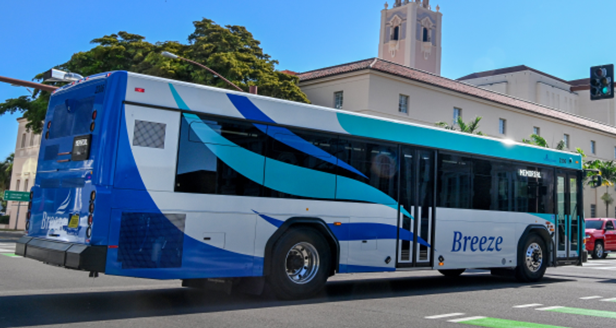 TRANSIT TALK: REGIONAL TRANSPORTATION OPTIONS FOR SENIORS - Alderman Oaks